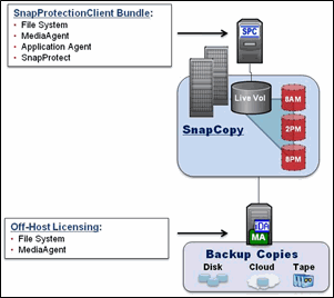 IntelliSnap Guide on NetApp Storage System